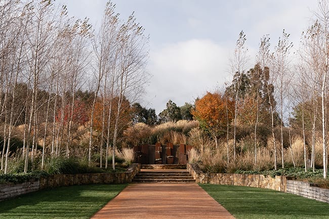 NASIHA & SHAFQAT - Salt Atelier