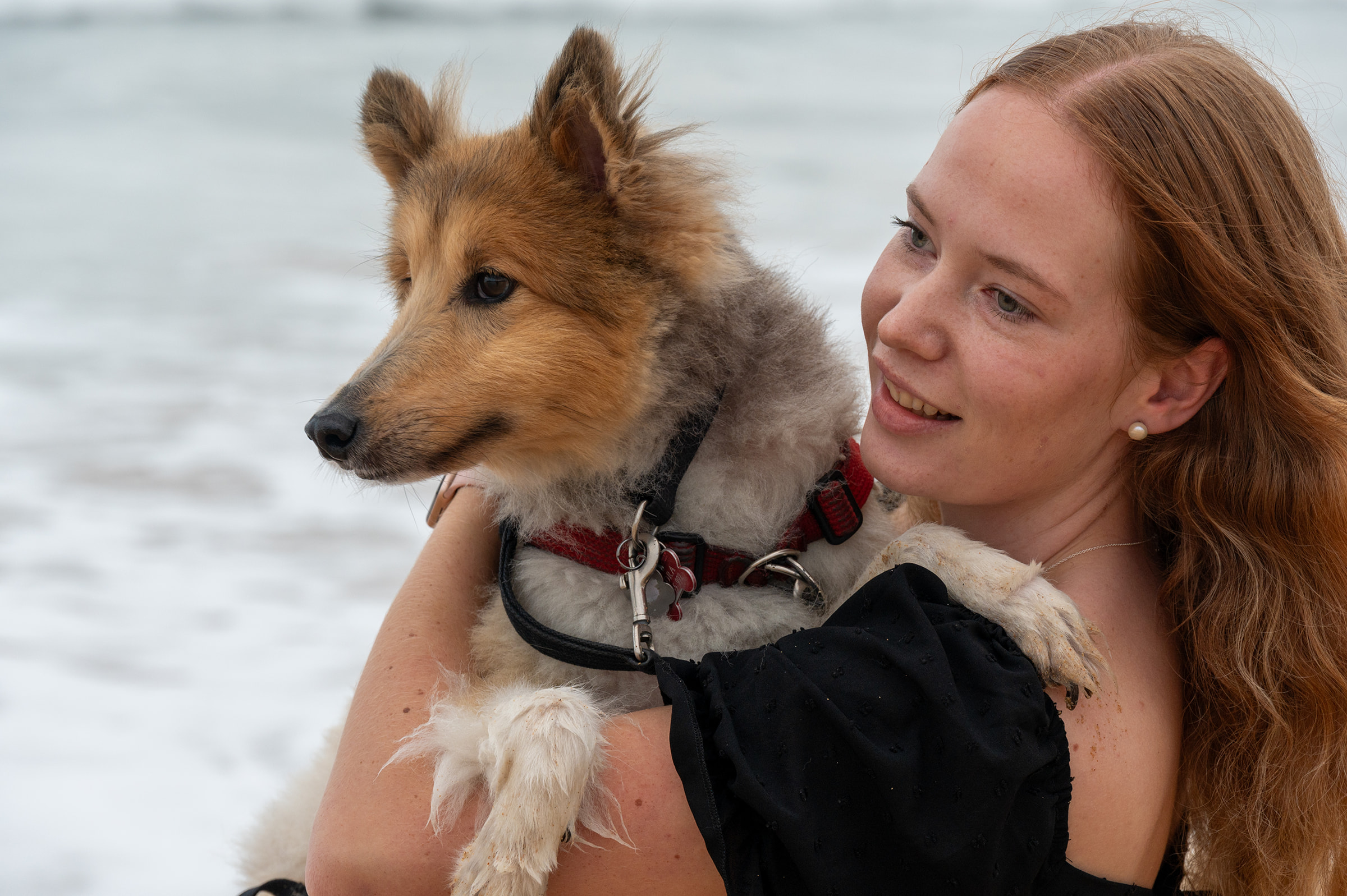 Andrew Wetzel Photography