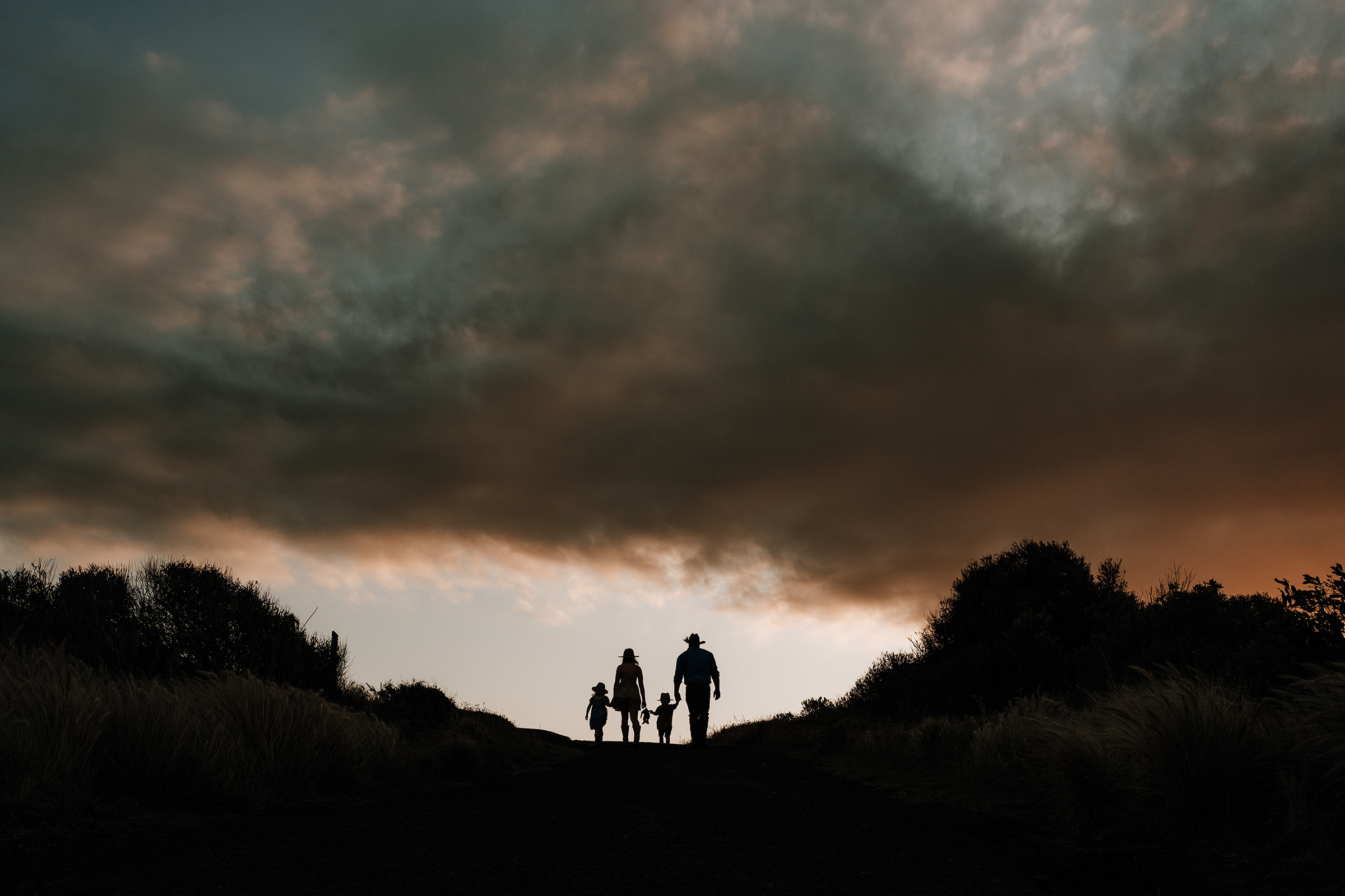 Translucent Photography